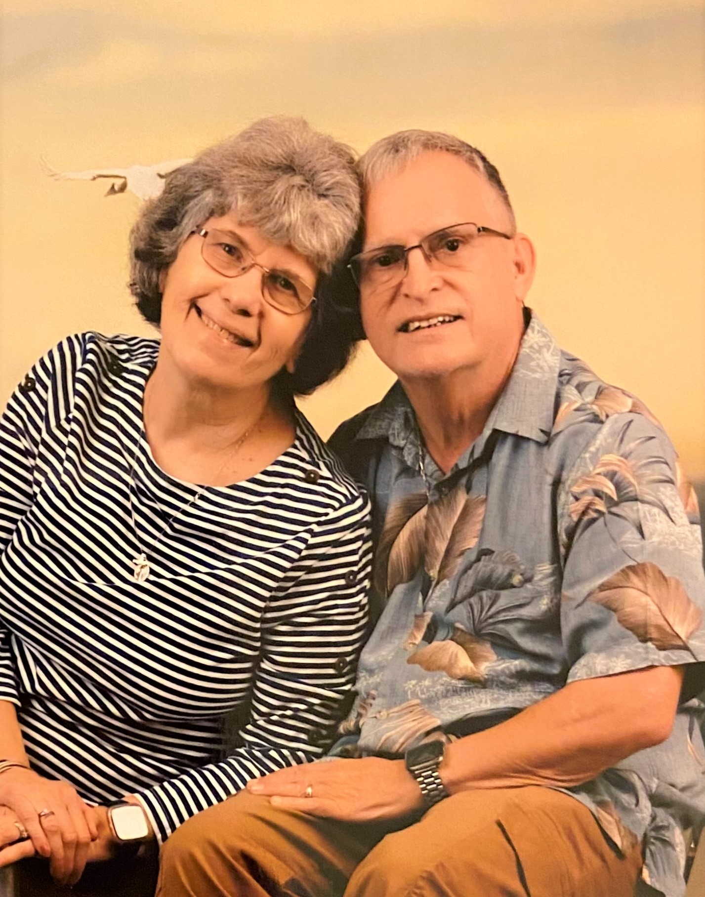 Alumni Story: Joe and Jeannie Scheirman - University of Charleston